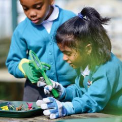 The Outdoor Curriculum in all its Glory | Early Excellence