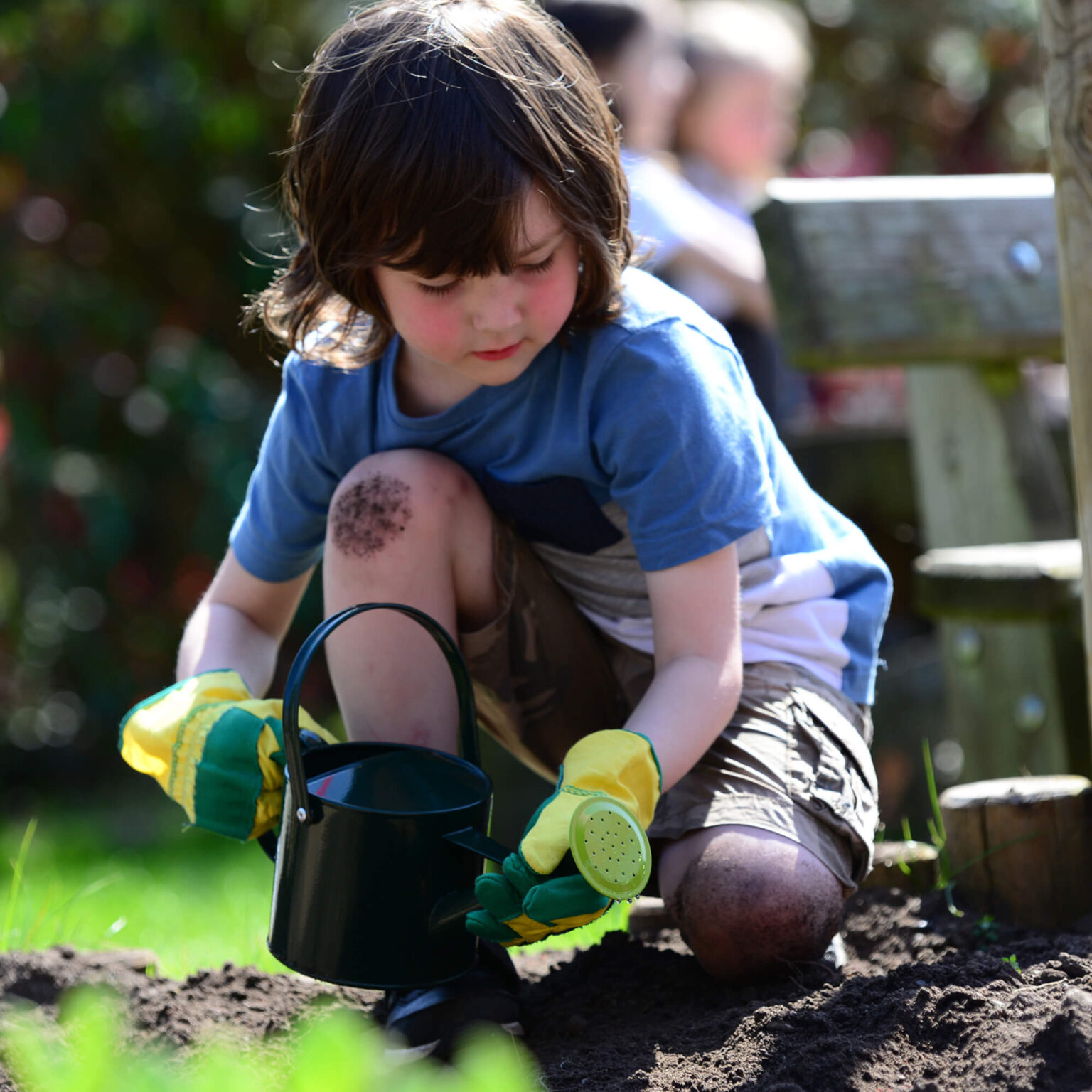 Rudolf Steiner: Philosophy, Steiner Schools, & Legacy in Education