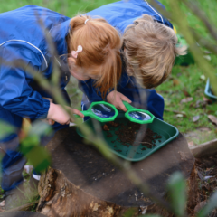 Friedrich Froebel: His Principles, Play Theory & Educational Legacy